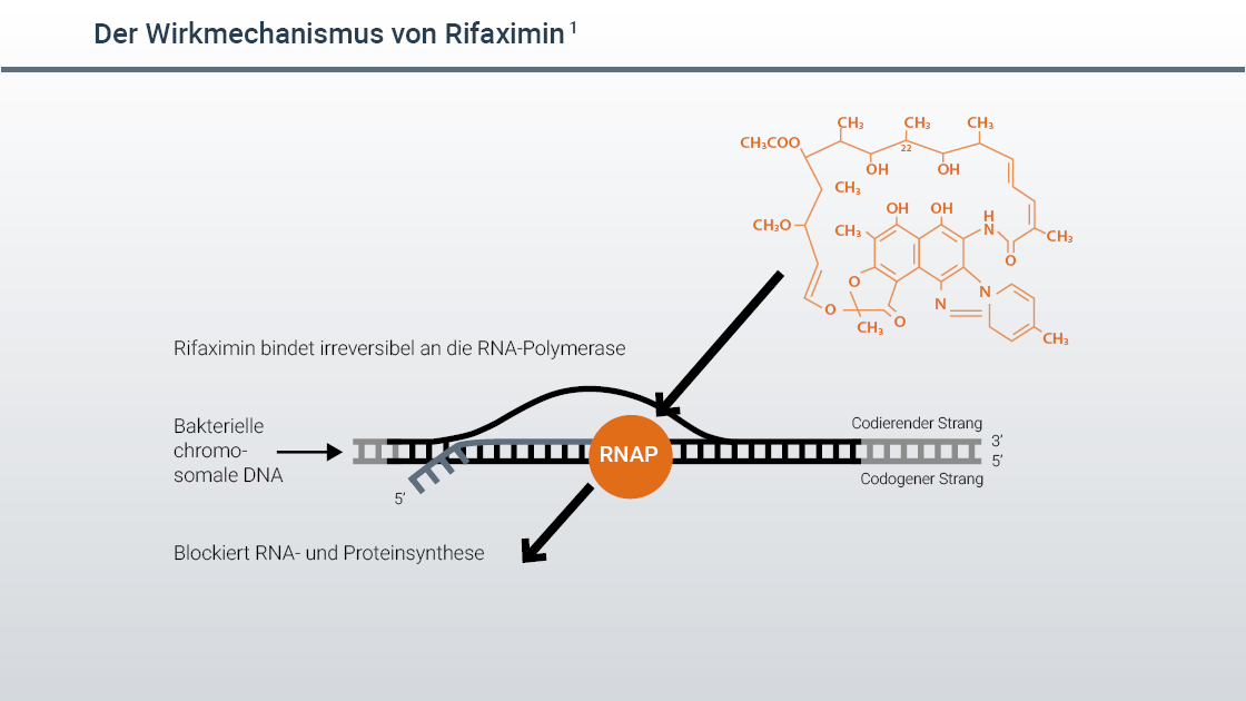 Wirkmechanismus | XIFAXAN